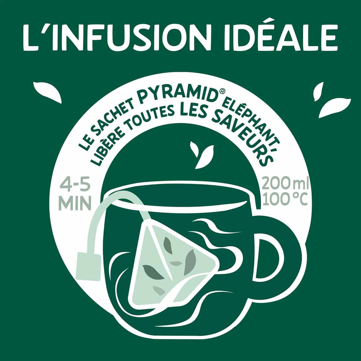 Infusion Éléphant Fruits Rouges Menthe - 20 sachets pyramide