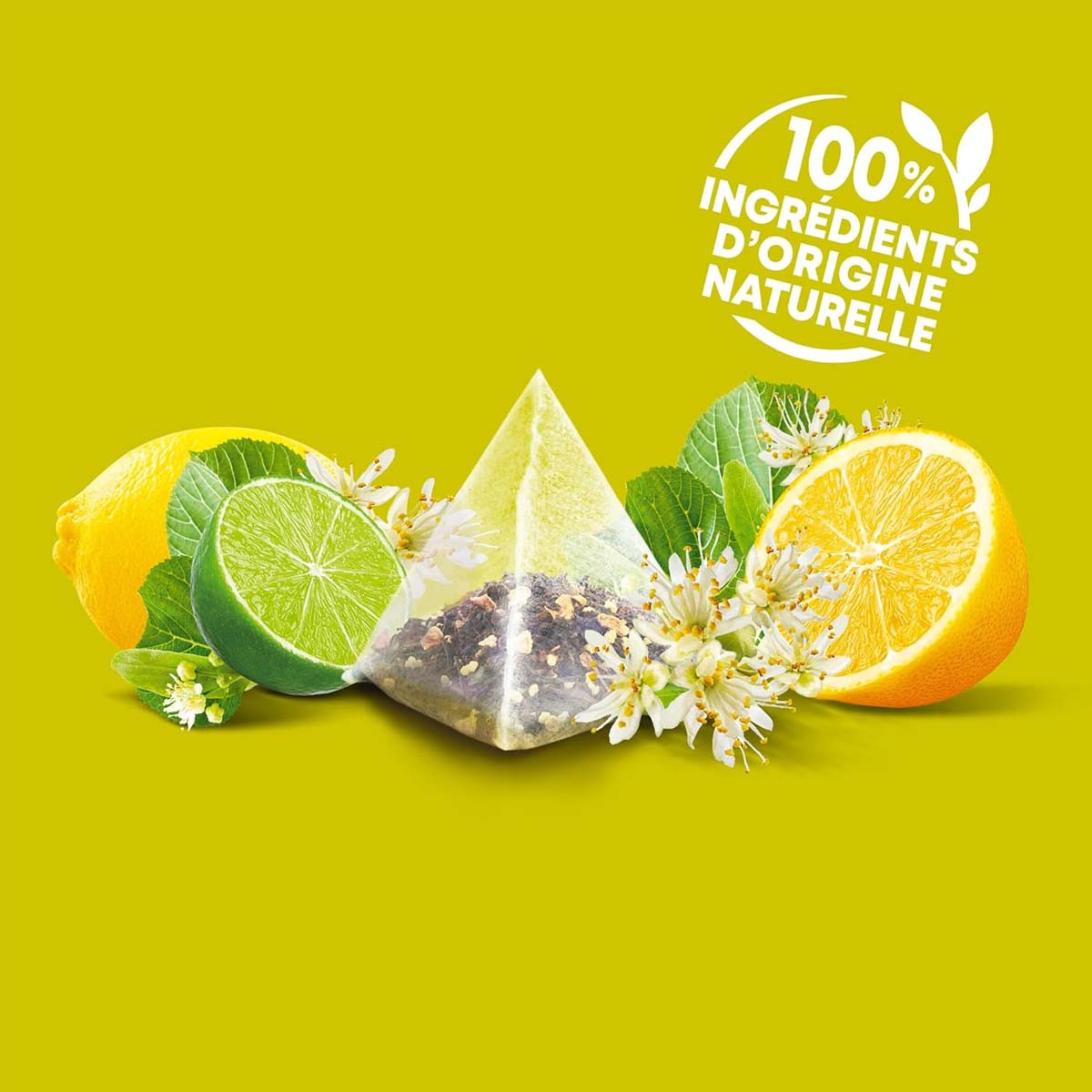 Pack Découverte Infusion fruitées Éléphant - 3 variétés - 60 sachets