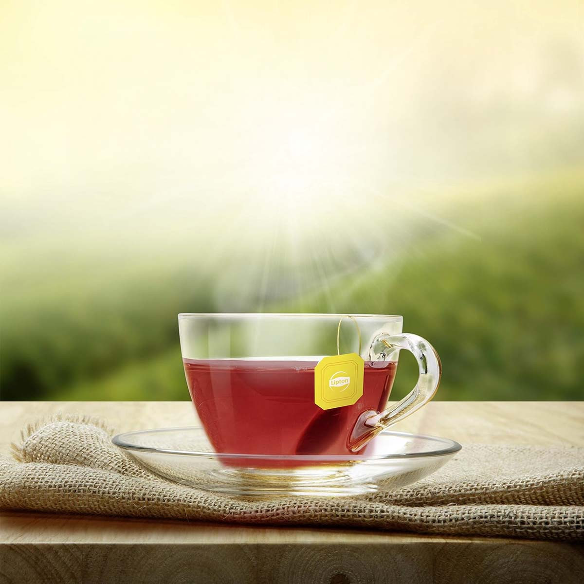 Rooibos Lipton - 6 boites - 150 sachets