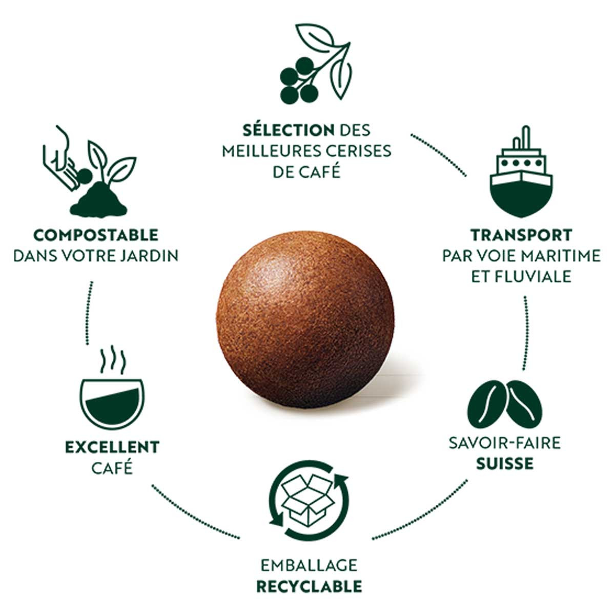 Café Royal Dosette de café CoffeeB Espresso BIO - 180 boules de café