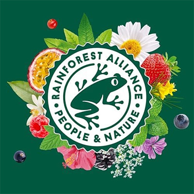 Infusions Éléphant : Une marque française emblématique et engagée