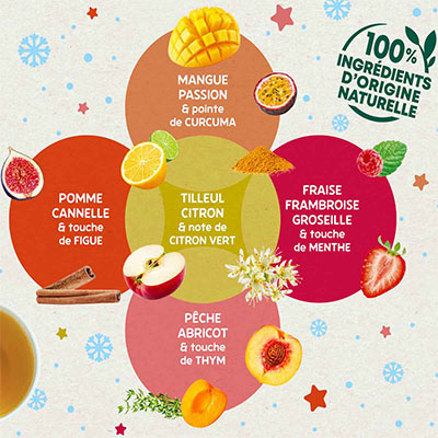 Coffret d'Infusions Fruitées Éléphant 5 variétés - 50 sachets