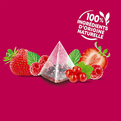 Coffret d'Infusions Fruitées Éléphant 5 variétés - 50 sachets