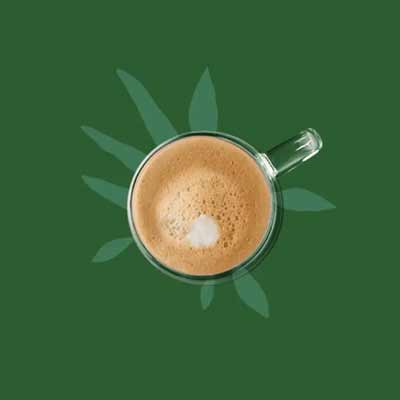 Dosettes Nescafé Dolce Gusto NEO Café au Lait - 1 boîte - 12 sachets